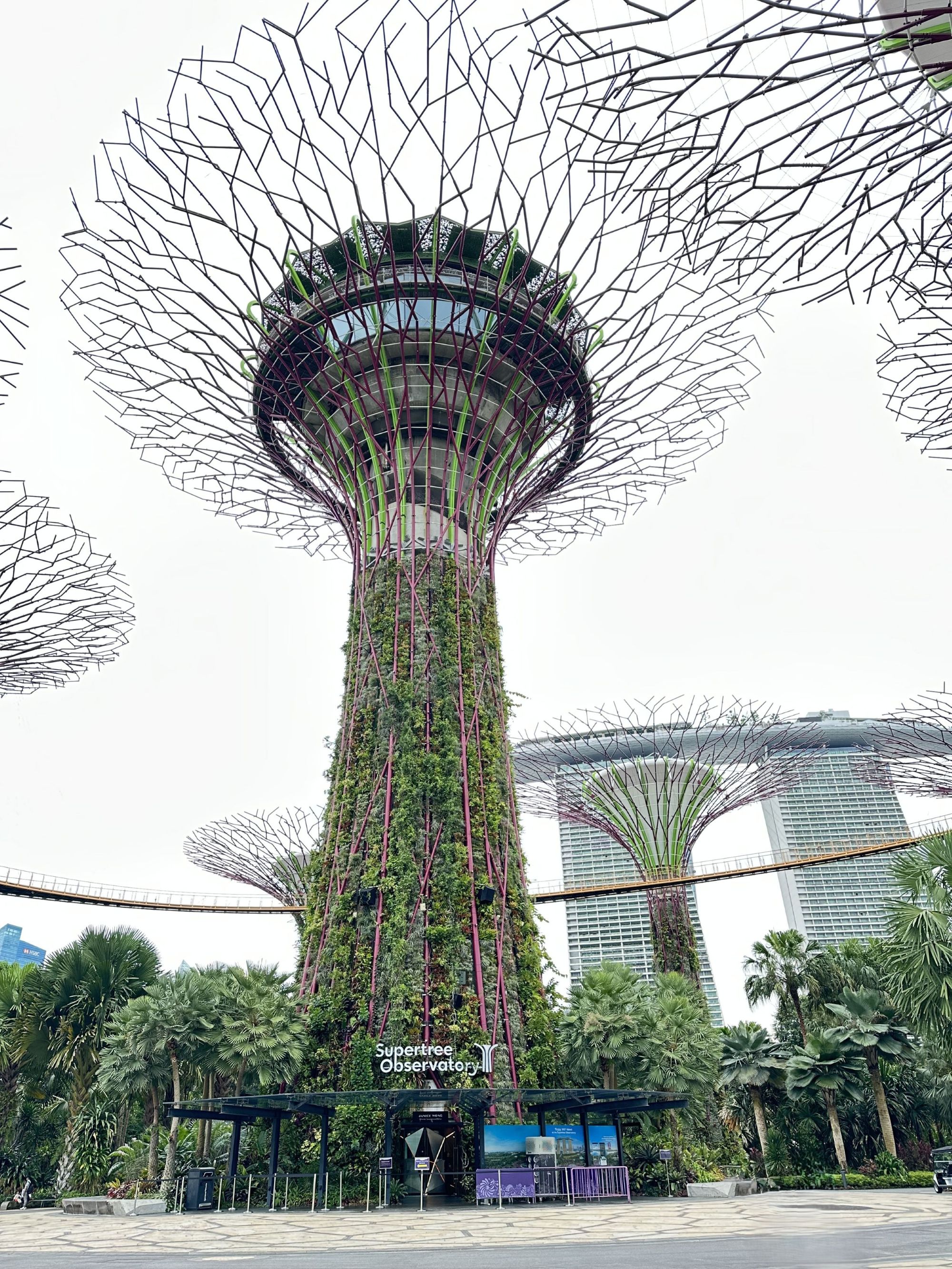 シンガポールが誇るパティシエ、Janice Wongの「食べられるアートの世界」へようこそ！ | JCB PLAZA SELECT-海外おトクナビ-